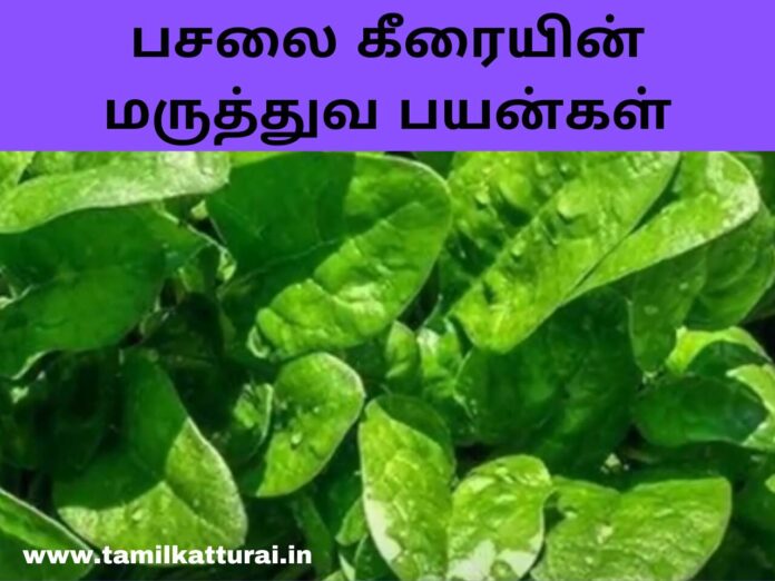 மளிகை பொருட்கள் பட்டியல் | Maligai Saman List In Tamil