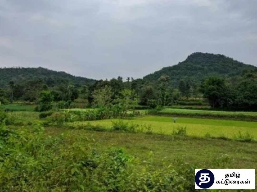 கள்ளக்குறிச்சி மாவட்டத்தின் வரலாறு | Kallakurichi District History In Tamil