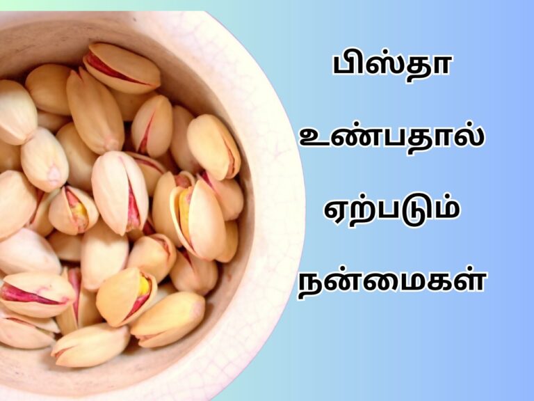 பிஸ்தா உண்பதால் ஏற்படும் நன்மைகள் | Pista Benefits In Tamil