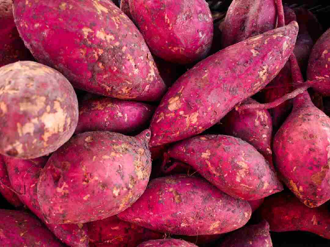 சர்க்கரைவள்ளிக் கிழங்கின் பயன்கள் | Sakkaravalli Kilangu Benefits In Tamil