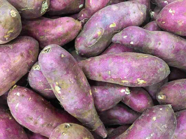 சர்க்கரைவள்ளிக் கிழங்கின் பயன்கள் | Sakkaravalli Kilangu Benefits In Tamil