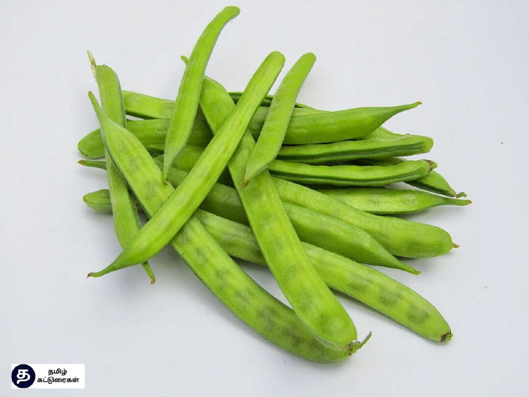 கொத்தவரங்காய் நன்மைகள் | Cluster Beans In Tamil | Kothavarangai ...
