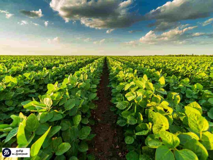 எனது கிராமம் கட்டுரை | Enathu Giramam Katturai In Tamil