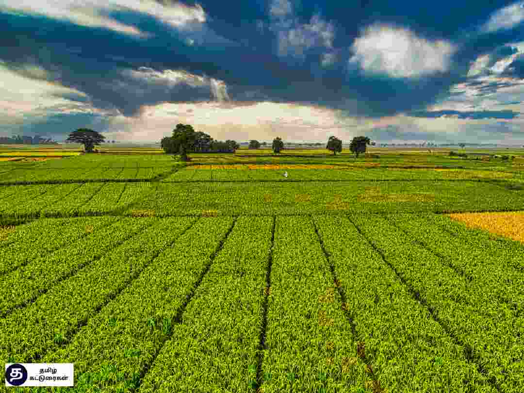 எனது கிராமம் கட்டுரை | Enathu Giramam Katturai In Tamil