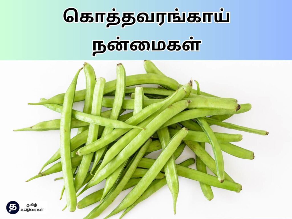 கொத்தவரங்காய் நன்மைகள் | Cluster Beans In Tamil | Kothavarangai ...