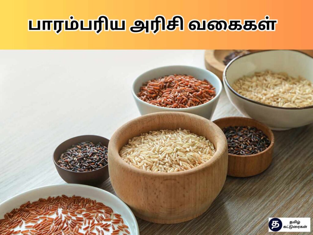 பாரம்பரிய அரிசி வகைகள் | Arisi Vagaigal Athan Payangal