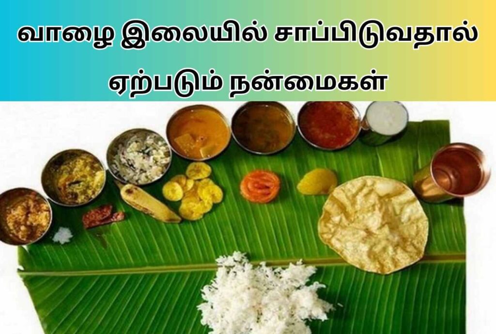 Banana Leaf Benefits In banana-leaf-benefits-in