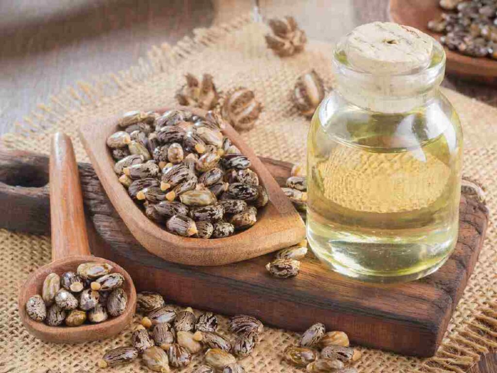 ஆமணக்கு எண்ணெய் நன்மைகள் | Castor Oil Health Benefits In Tamil