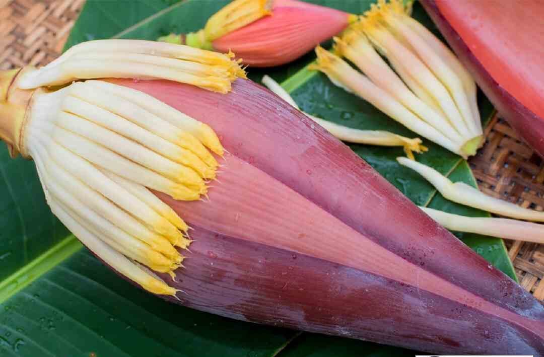 வாழைப்பூ மருத்துவ பயன்கள் | Valaipoo Benefits In Tamil