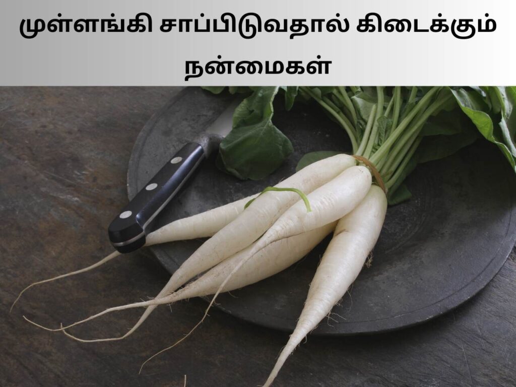 முள்ளங்கி சாப்பிடுவதால் ஏற்படும் பயன்கள் | Mullangi Health Benefits In ...